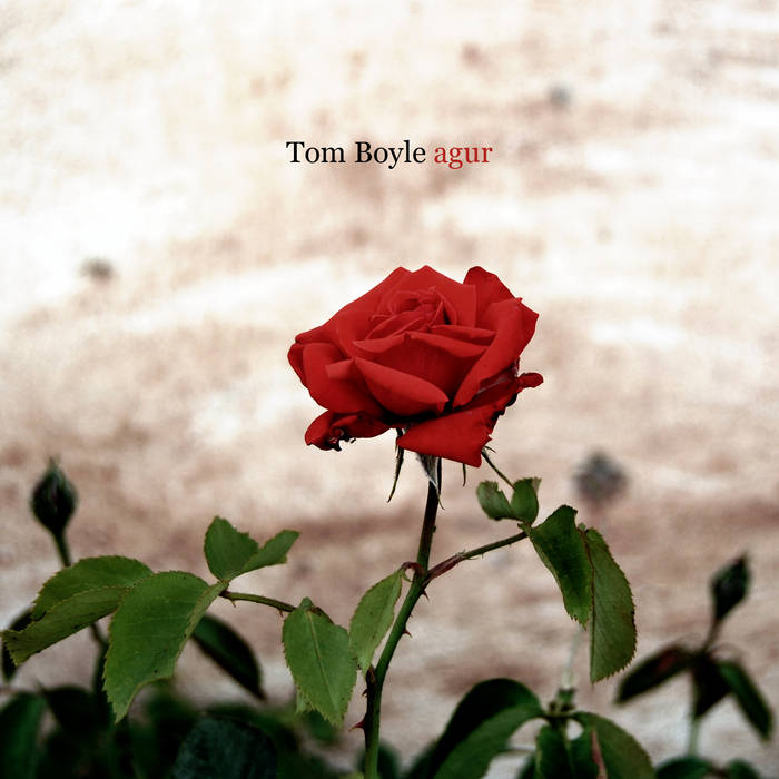Tom Boyle avanzan su segundo disco – jenesaispop.com